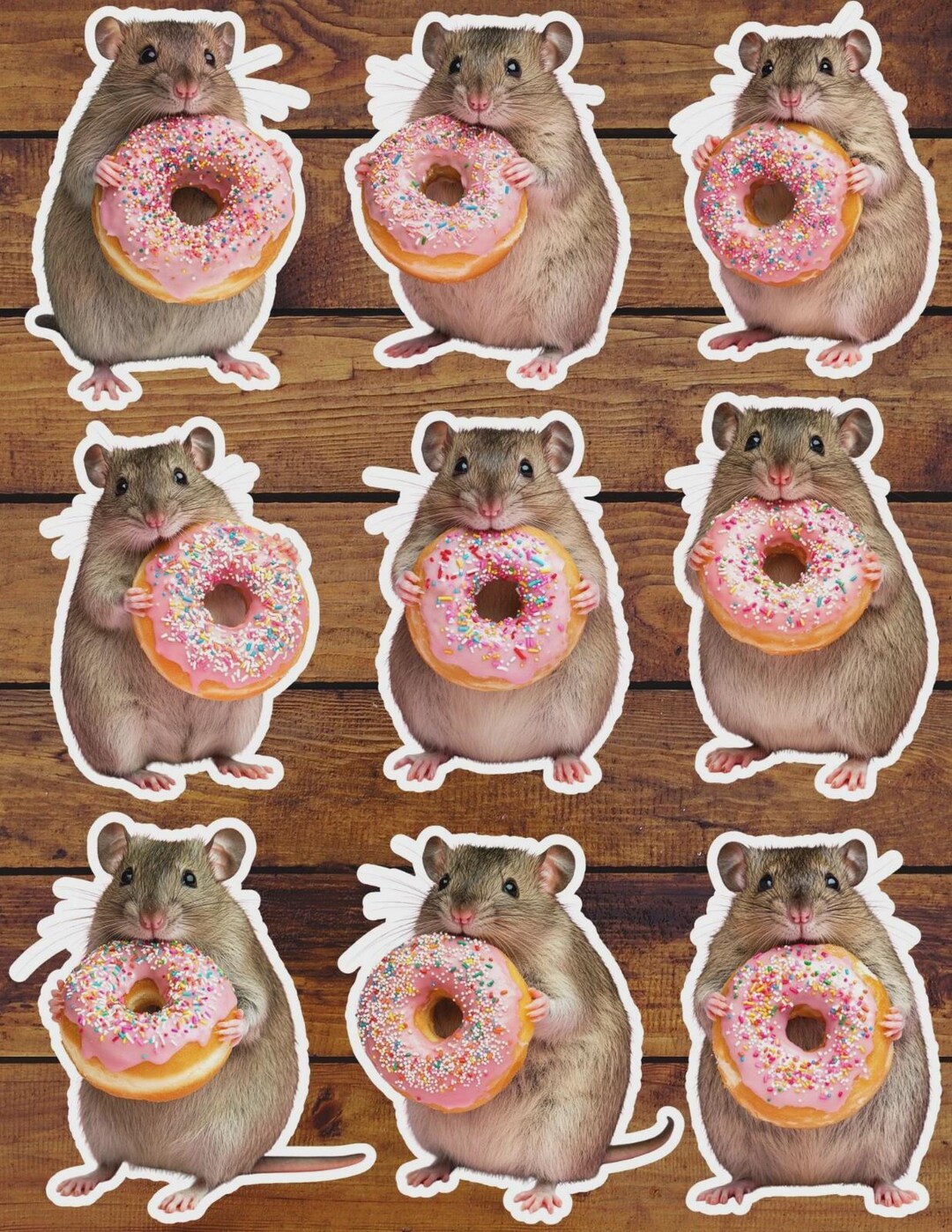 Rat Eating Donut Vinyl Die Cut Sticker Set | Funny Sticker | Laptop ...