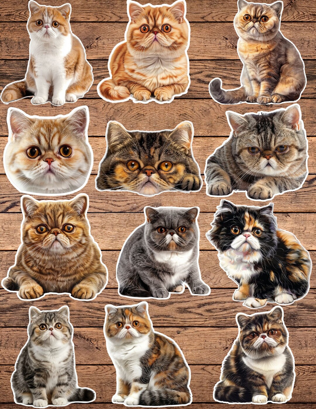 Shorthair Cat Die Cut Sticker Set | Funny Sticker | Laptop Sticker ...