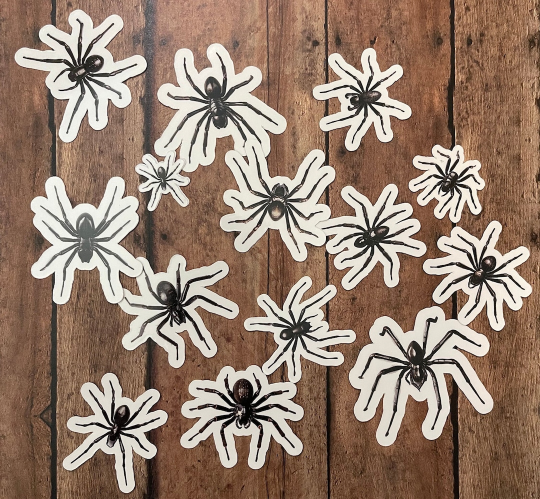 Black Spider Sticker Set | Funny Sticker | Laptop Sticker | Water ...