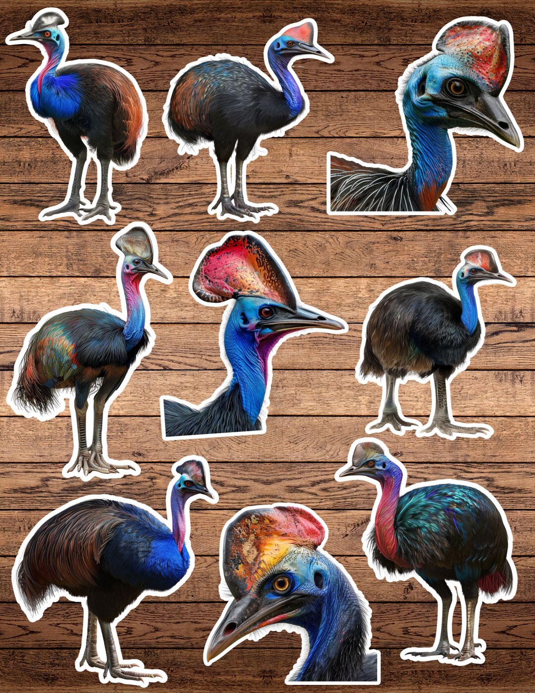 Cassowary Die Cut Vinyl Sticker Set | Funny Sticker | Laptop Sticker ...