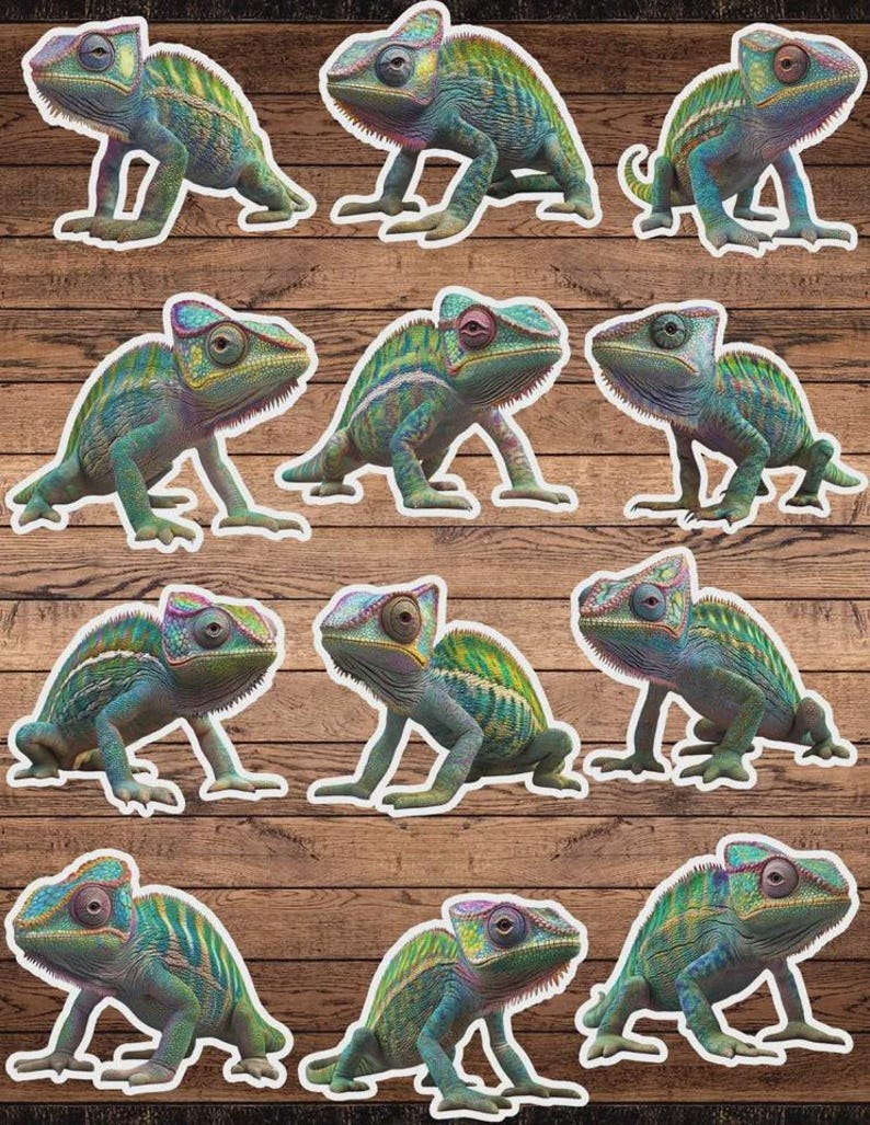Chameleon Die Cut Vinyl Sticker Set | Funny Sticker | Laptop Sticker ...