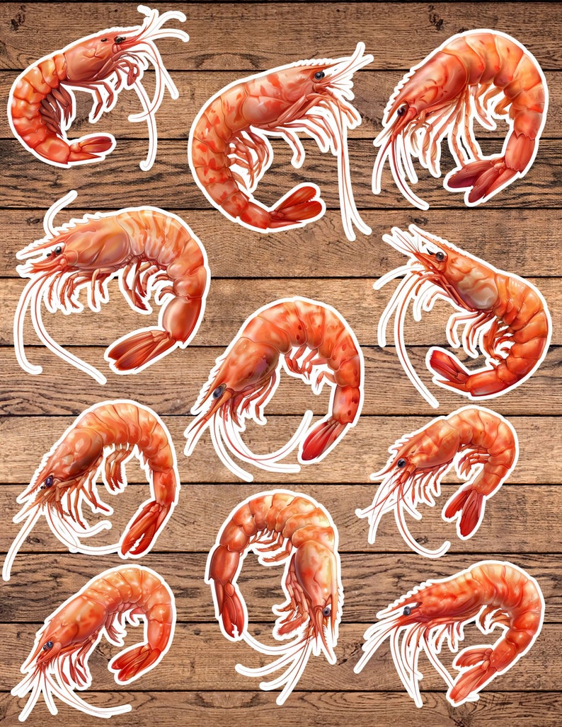Shrimp Die Cut Sticker Set | Funny Sticker | Laptop Sticker | Water Bottle Sticker | Notebook ...