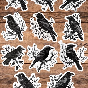 BLACK CROW Die Cut Sticker Set | Funny Sticker | Laptop Sticker | Water ...