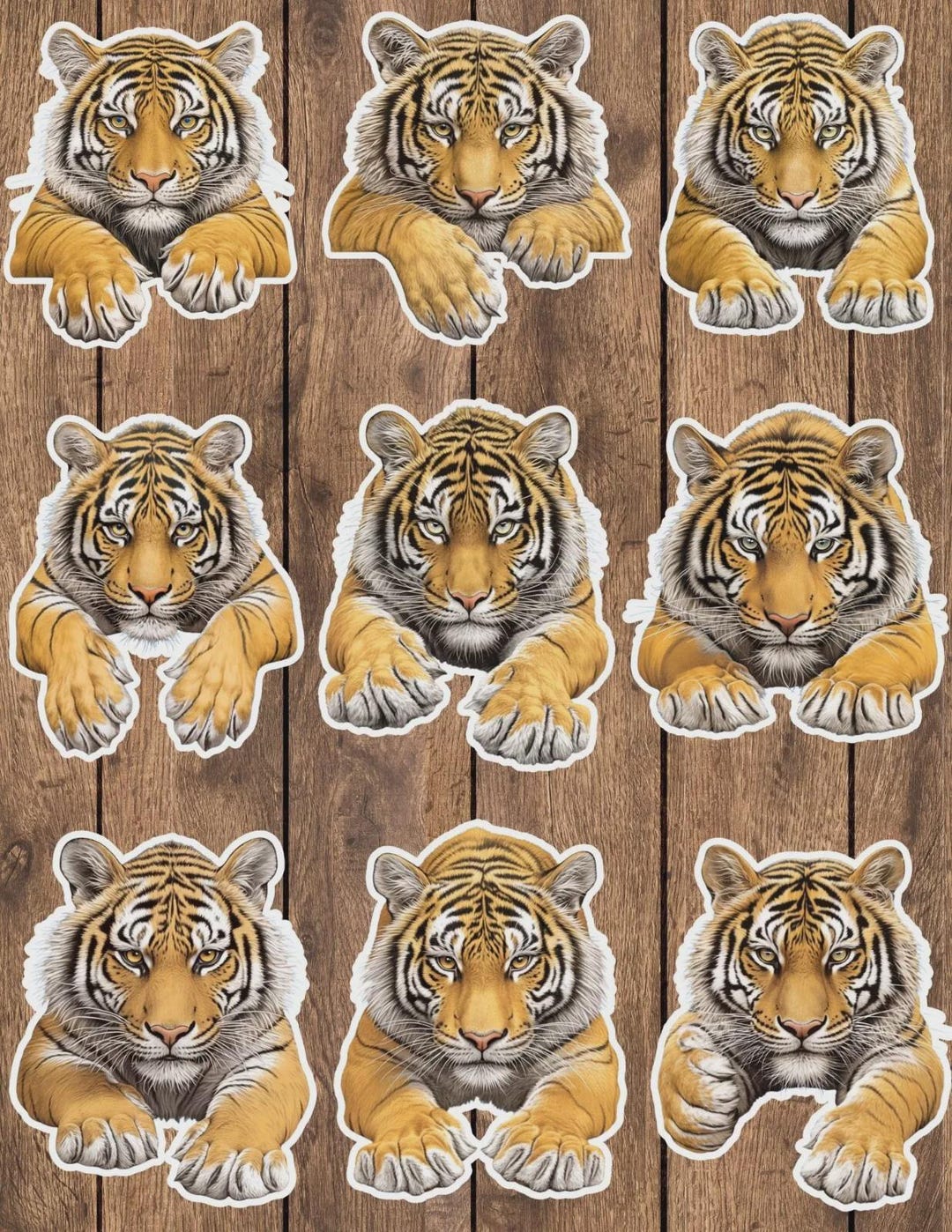 Tiger Reaching Vinyl Die Cut Sticker Set | Funny Sticker | Laptop ...