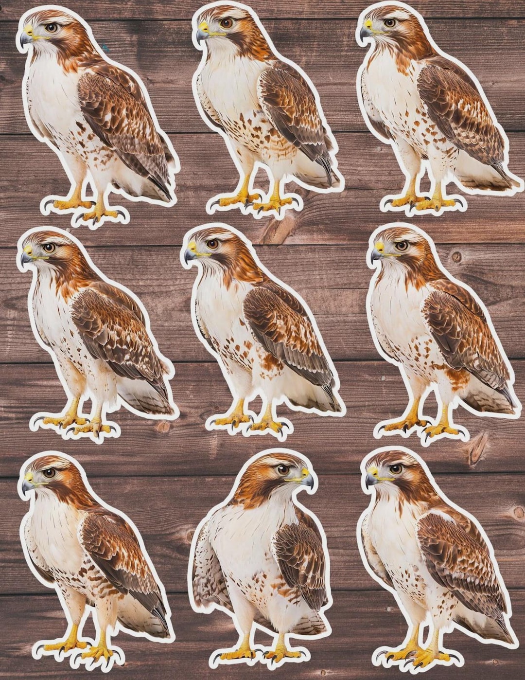 Hawk Die Cut Vinyl Sticker Set Funny Sticker Laptop Sticker Water ...