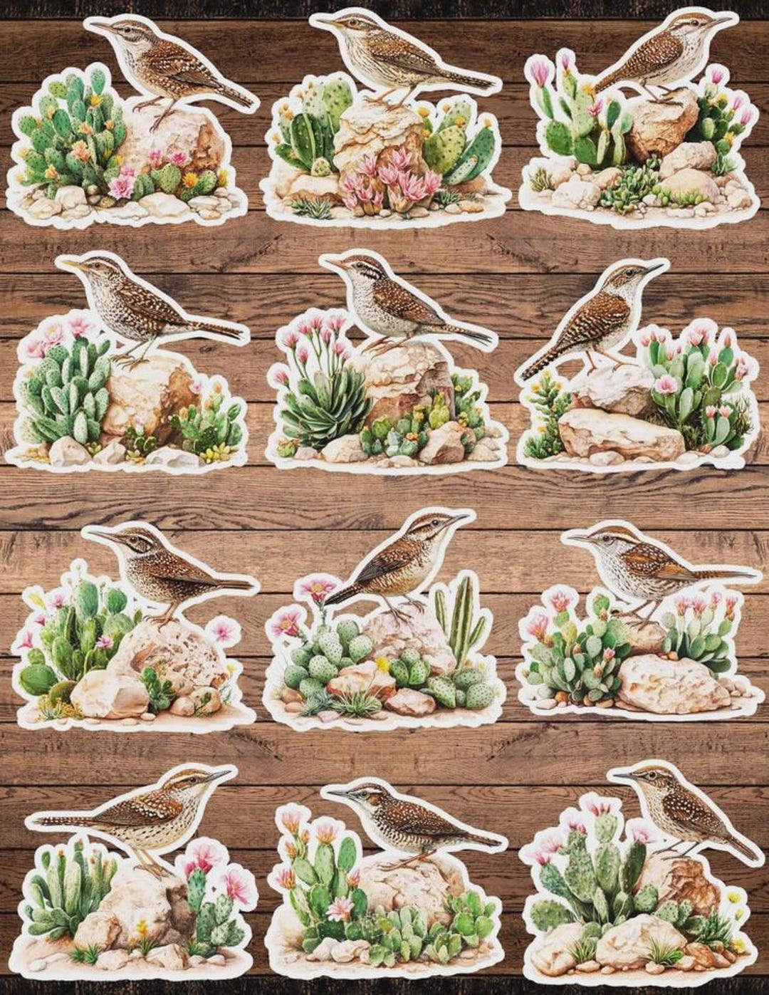Cactus Wren in Desert Die Cut Sticker Set | Funny Sticker | Laptop ...