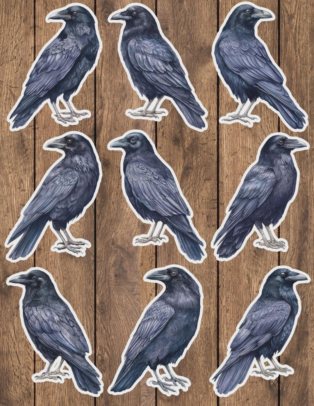 Raven Bird Vinyl Die Cut Sticker Set | Funny Sticker | Laptop Sticker ...