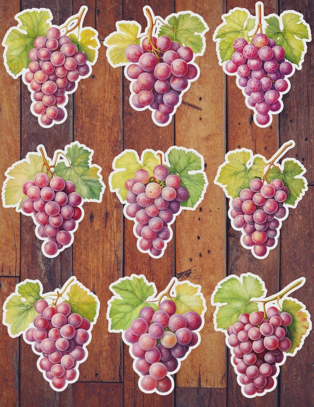 Bunches of Grapes Die Cut Sticker Set | Funny Sticker | Laptop Sticker ...