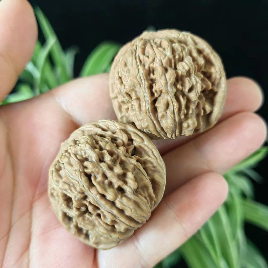 A Pair Natural Walnut Shell Bracelet Hand String Bracelet Exorcism Ward off Evil Spirits Amulet ...