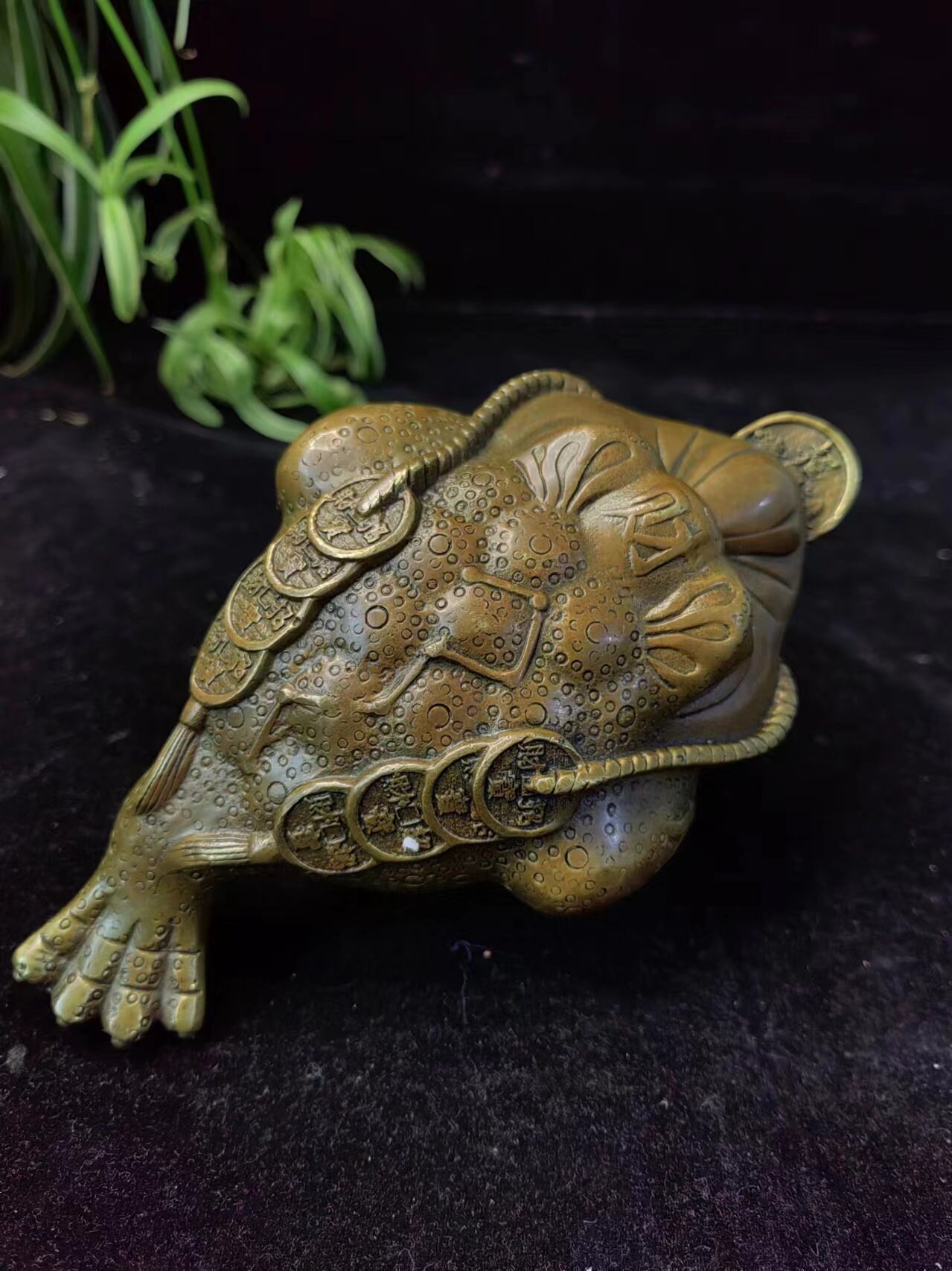 Wealth Golden Frog Toad Coin Fortune, Frog Feng Shui Toad Lucky ...