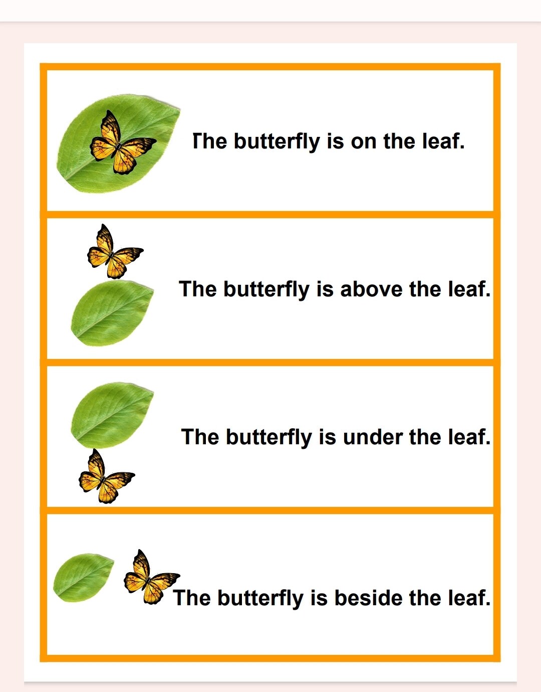 Butterfly Preposition Activity Bundle - Etsy