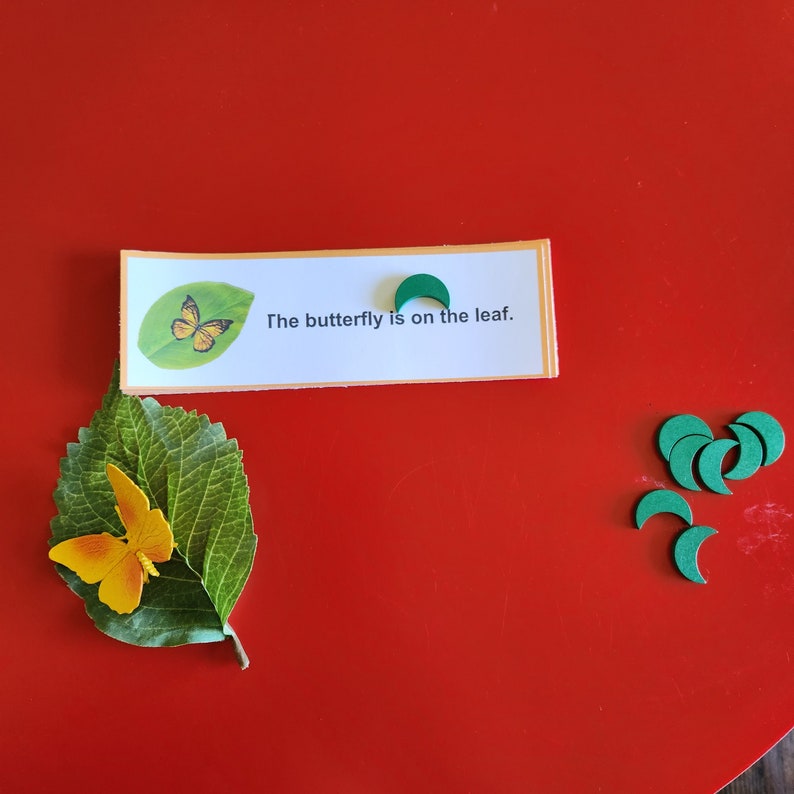 Butterfly Preposition Activity Bundle - Etsy