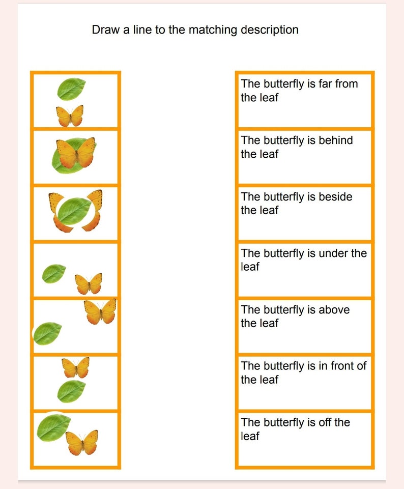 Butterfly Preposition Activity Bundle - Etsy