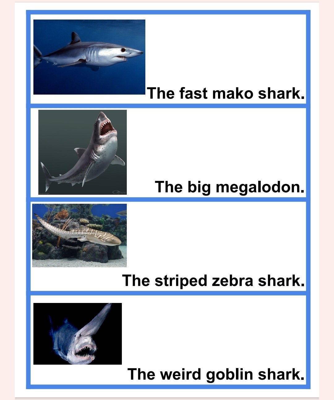 Shark Language Bundle - Etsy