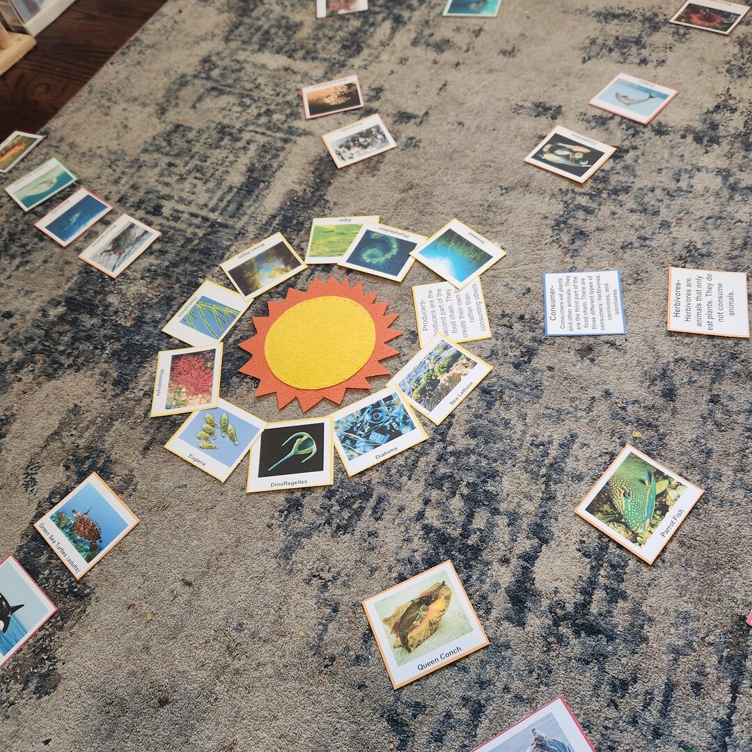 Ocean Sun Game - Etsy