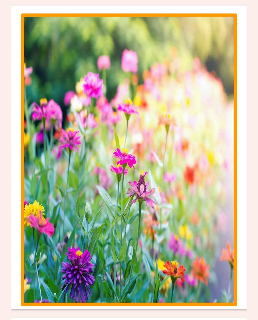 Butterfly Preposition Activity Bundle - Etsy