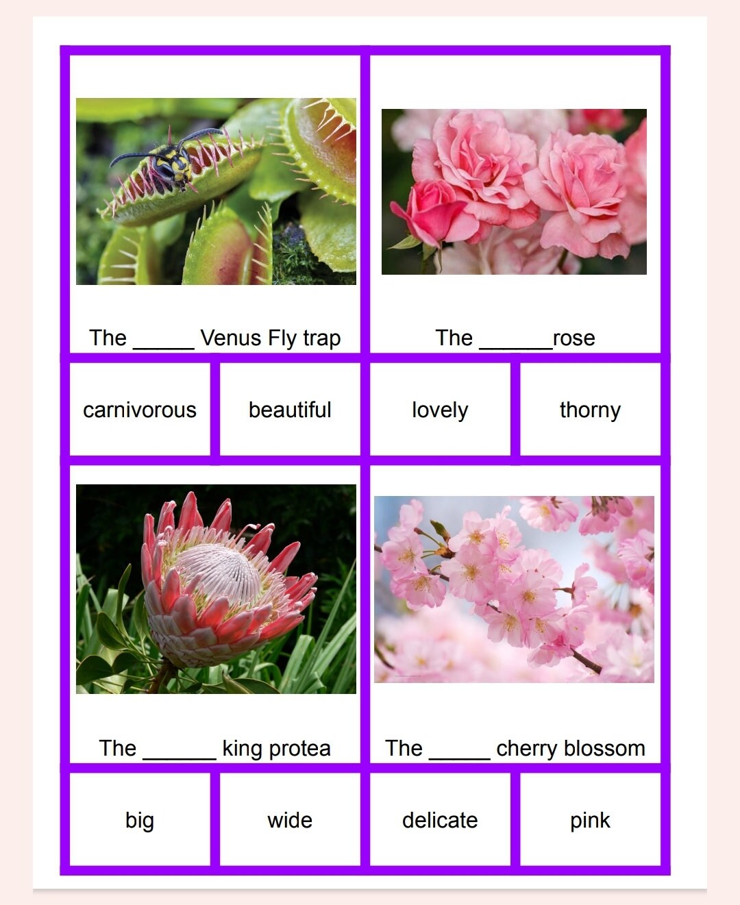 Flower Logical Adjective Game - Etsy