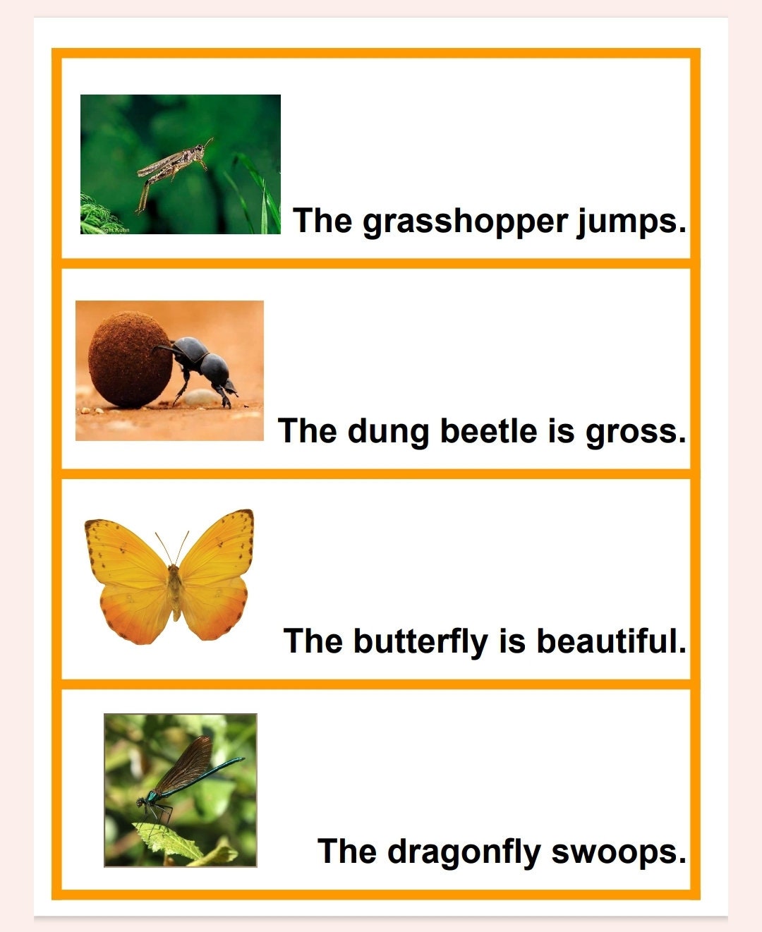 Spring Adjective and Verb Practice - Etsy