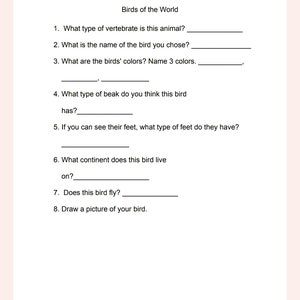 Birds Activity Bundle - Etsy