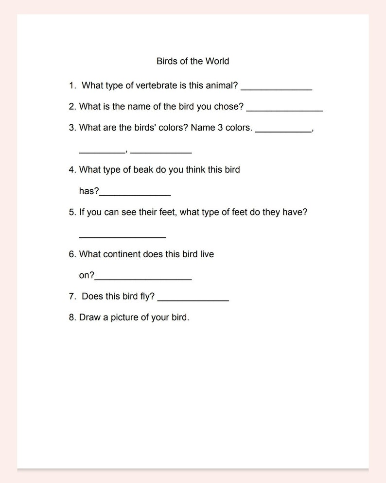 Birds Activity Bundle - Etsy