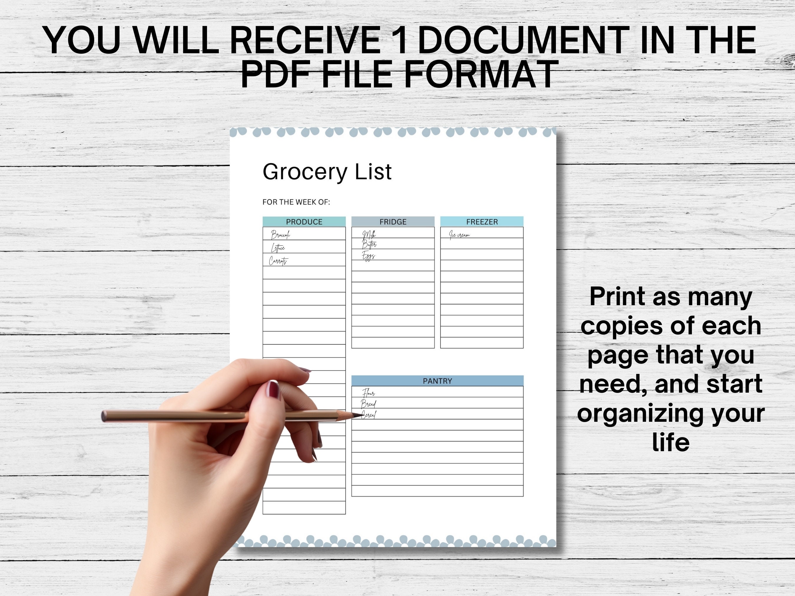 Basic Life Trackers and Checklists, Password Tracker, Subscription ...