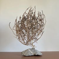 Tumbleweed - Etsy