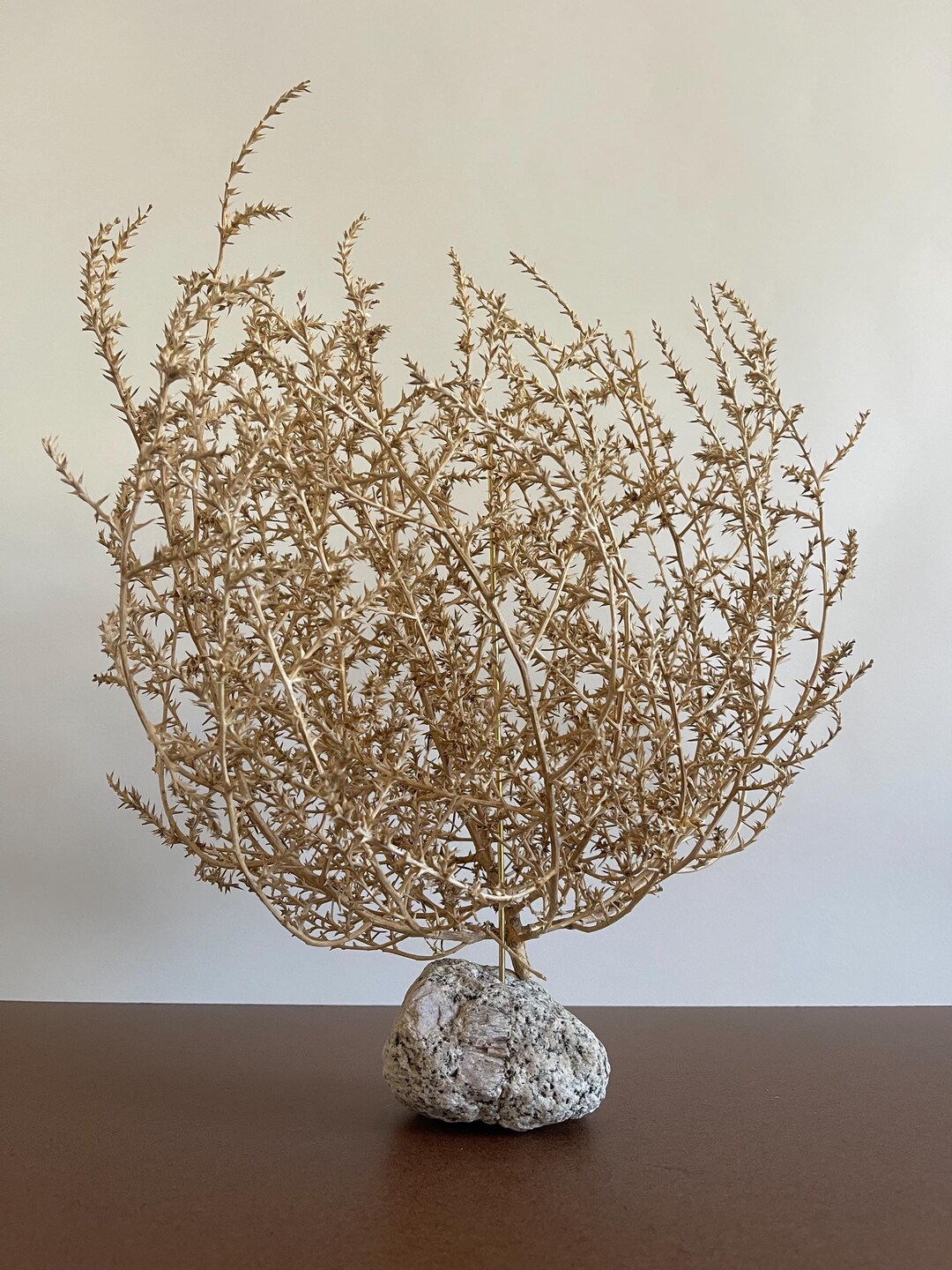 Tumbleweed & Stone Sculpture ~ Large - Etsy