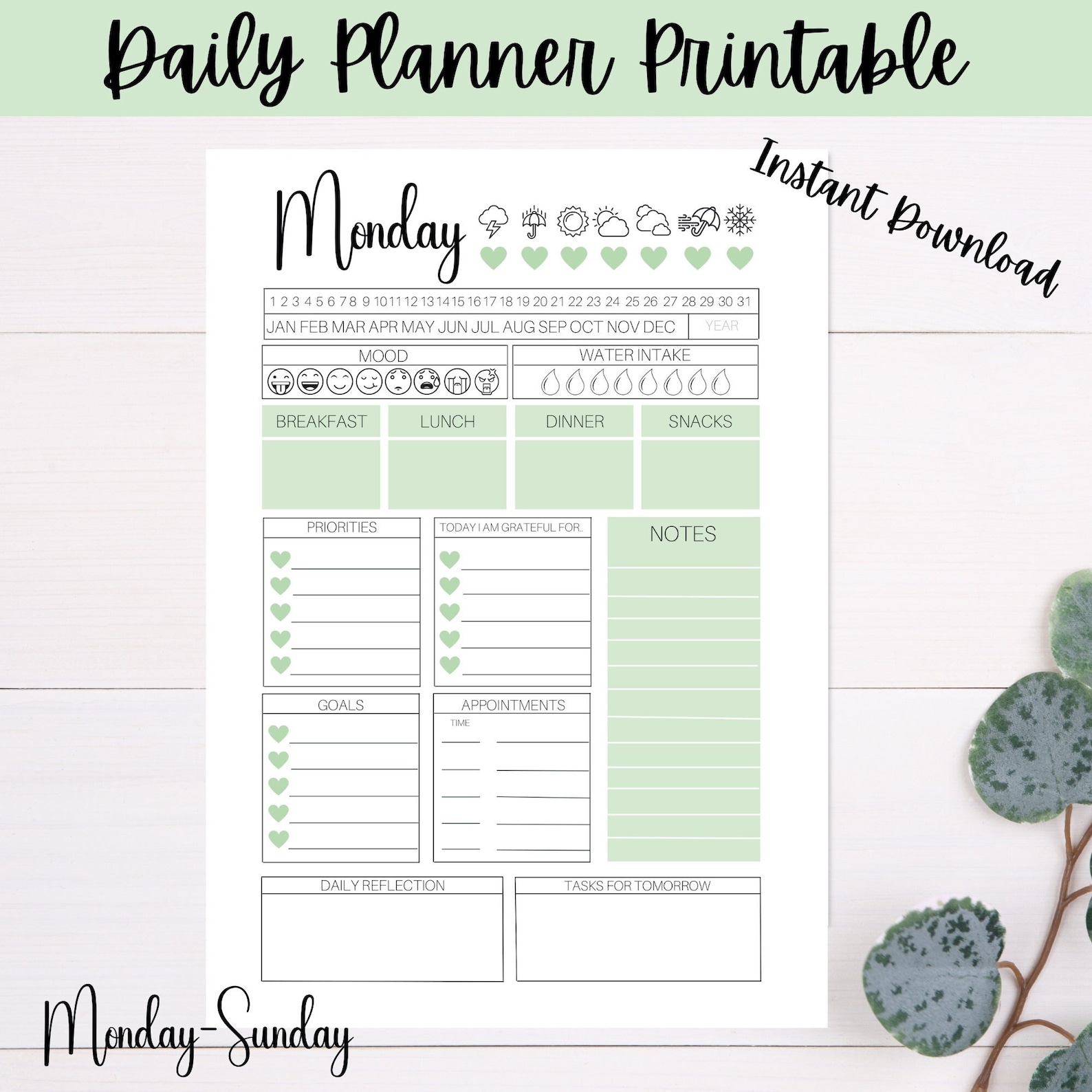 Daily Planner Printable | Meal Tracker | Gratitude | Simple Modern ...
