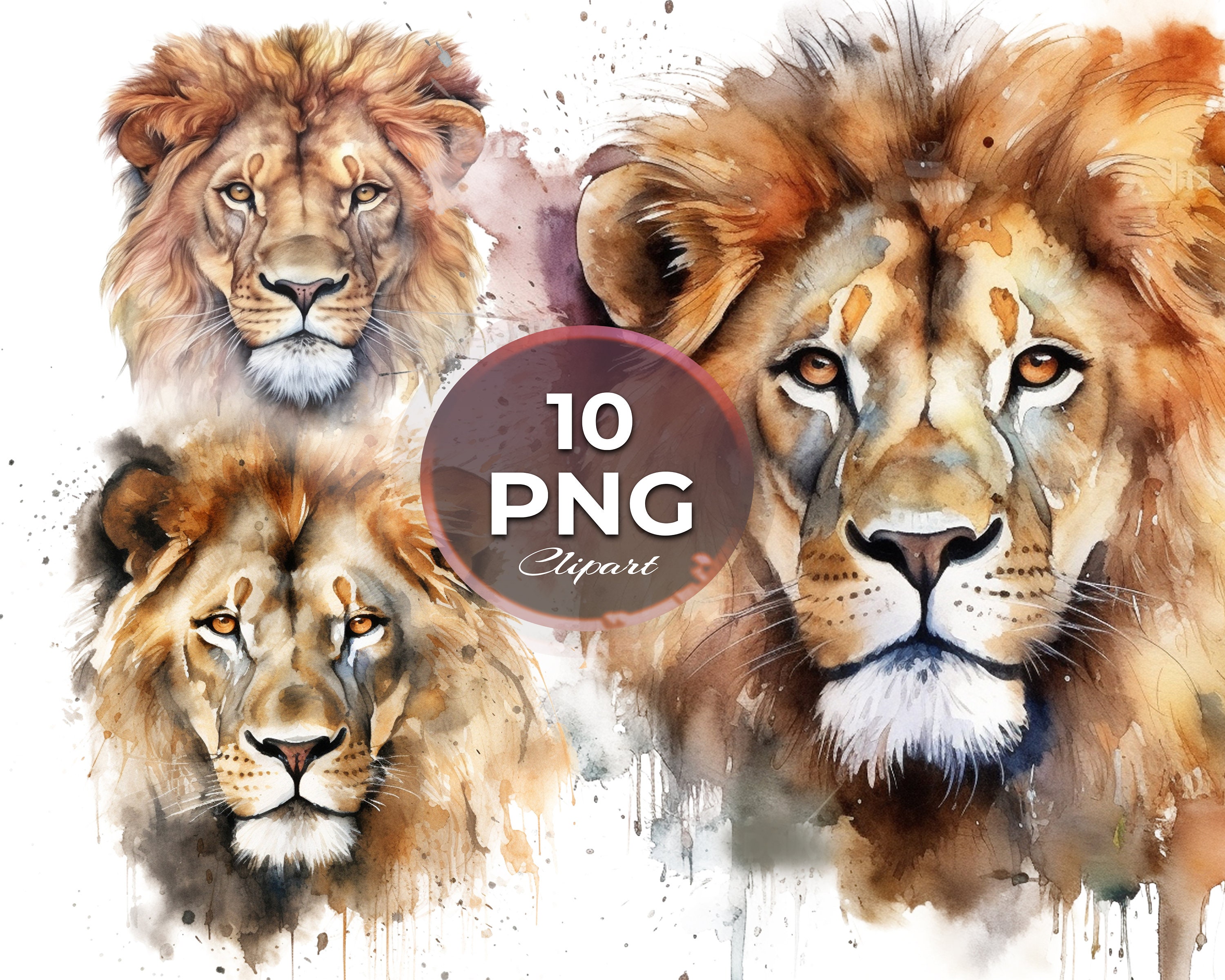 Watercolor Lion Clipart PNG 10 Files Digital Download Commercial Use ...