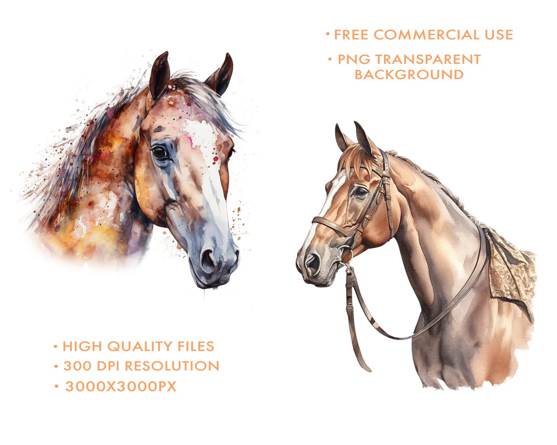 Horse Watercolor Clipart PNG Horses Horse Rider Barn Cottage - Etsy