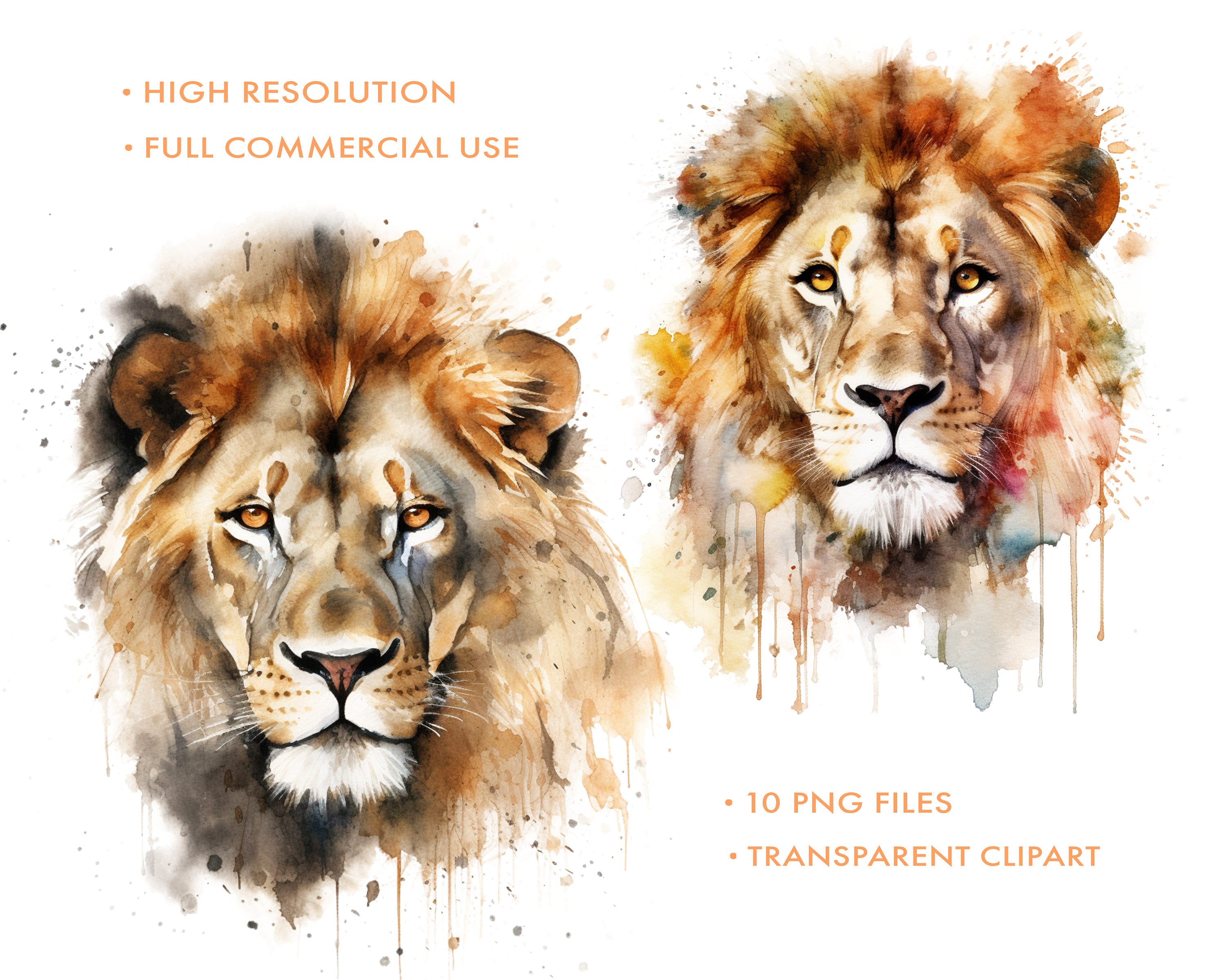 Watercolor Lion Clipart PNG 10 Files Digital Download Commercial Use ...