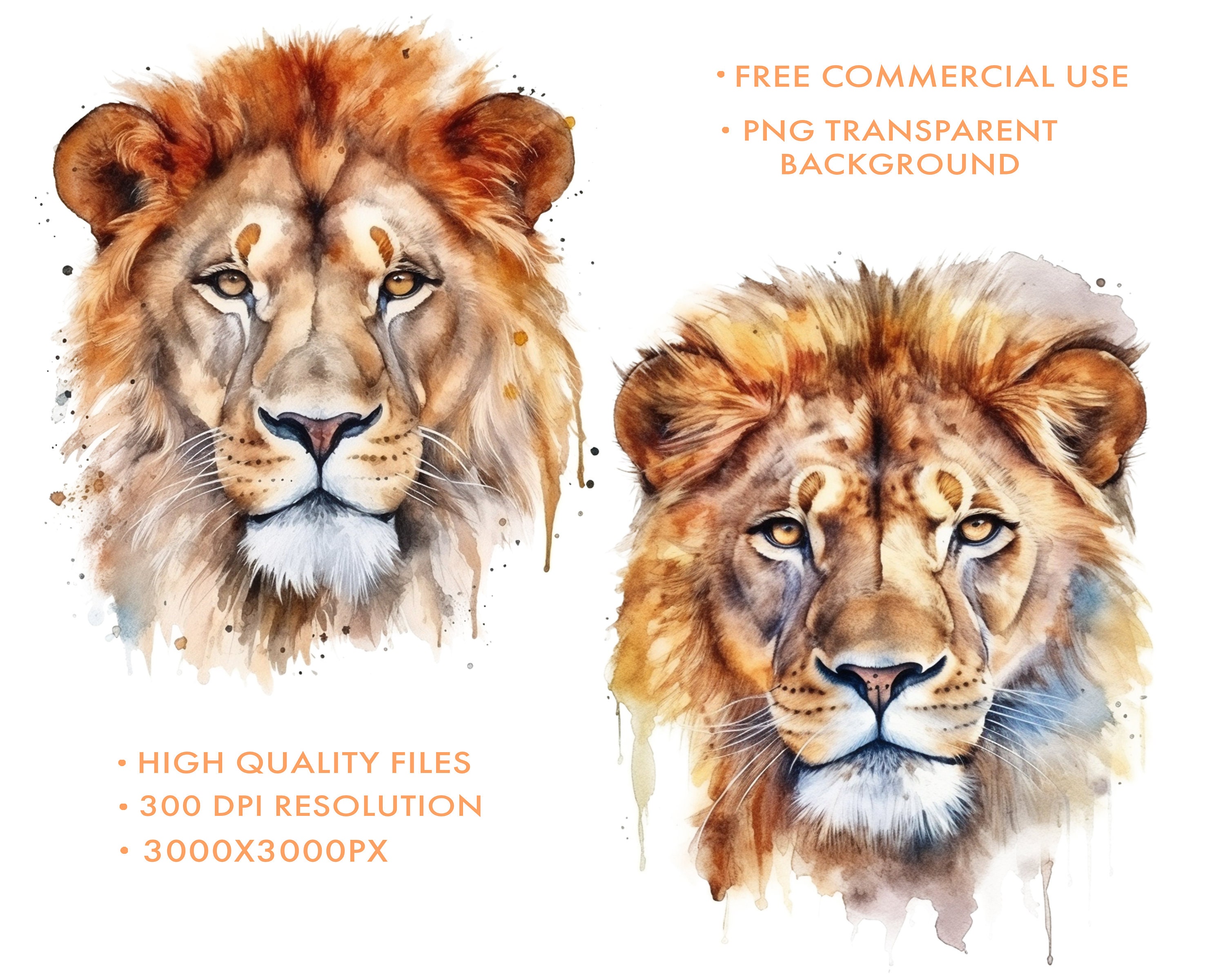 Watercolor Lion Clipart PNG 10 Files Digital Download Commercial Use ...