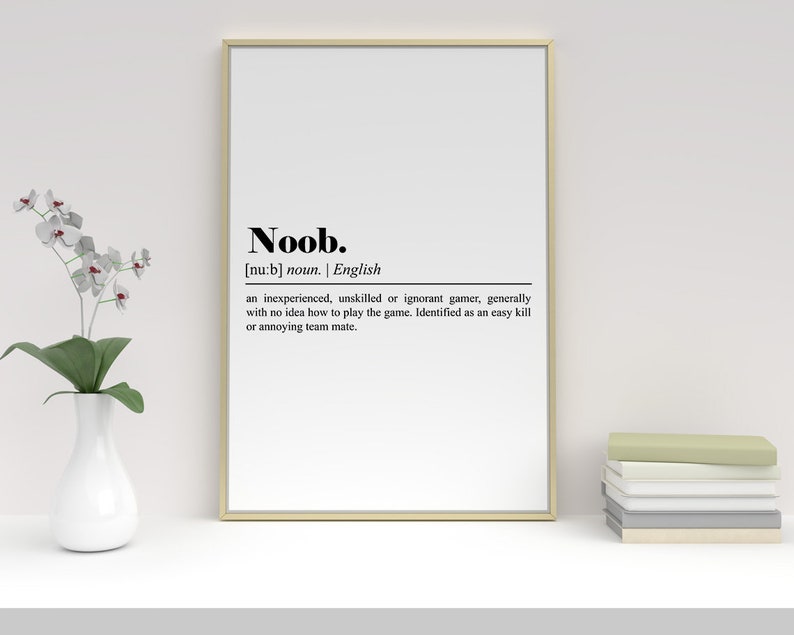 Noob Funny Gaming Definition Print Digital Art Print for - Etsy