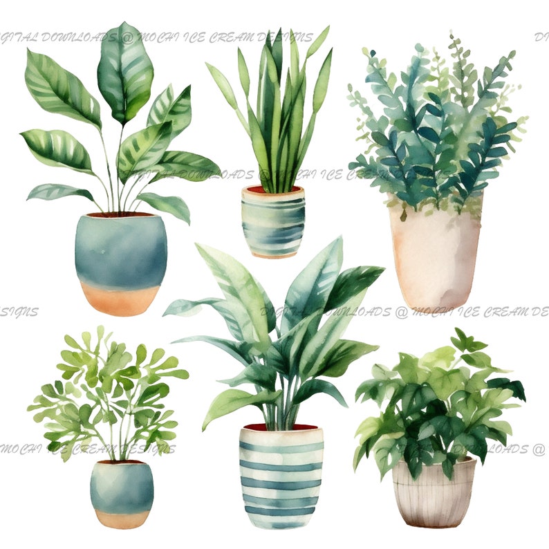 Watercolor House Plants Clipart Watercolor Gardening - Etsy