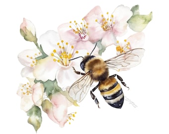 Watercolor Honey Bee Clipart PNG, Spring Garden Bee Clip Art PNG ...