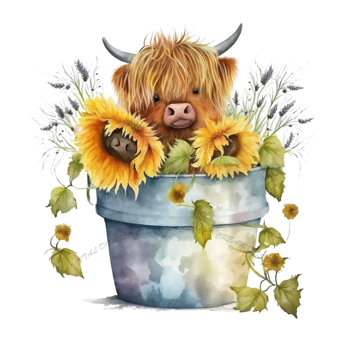 Highland Cow With Sunflowers PNG Digital Download - Etsy