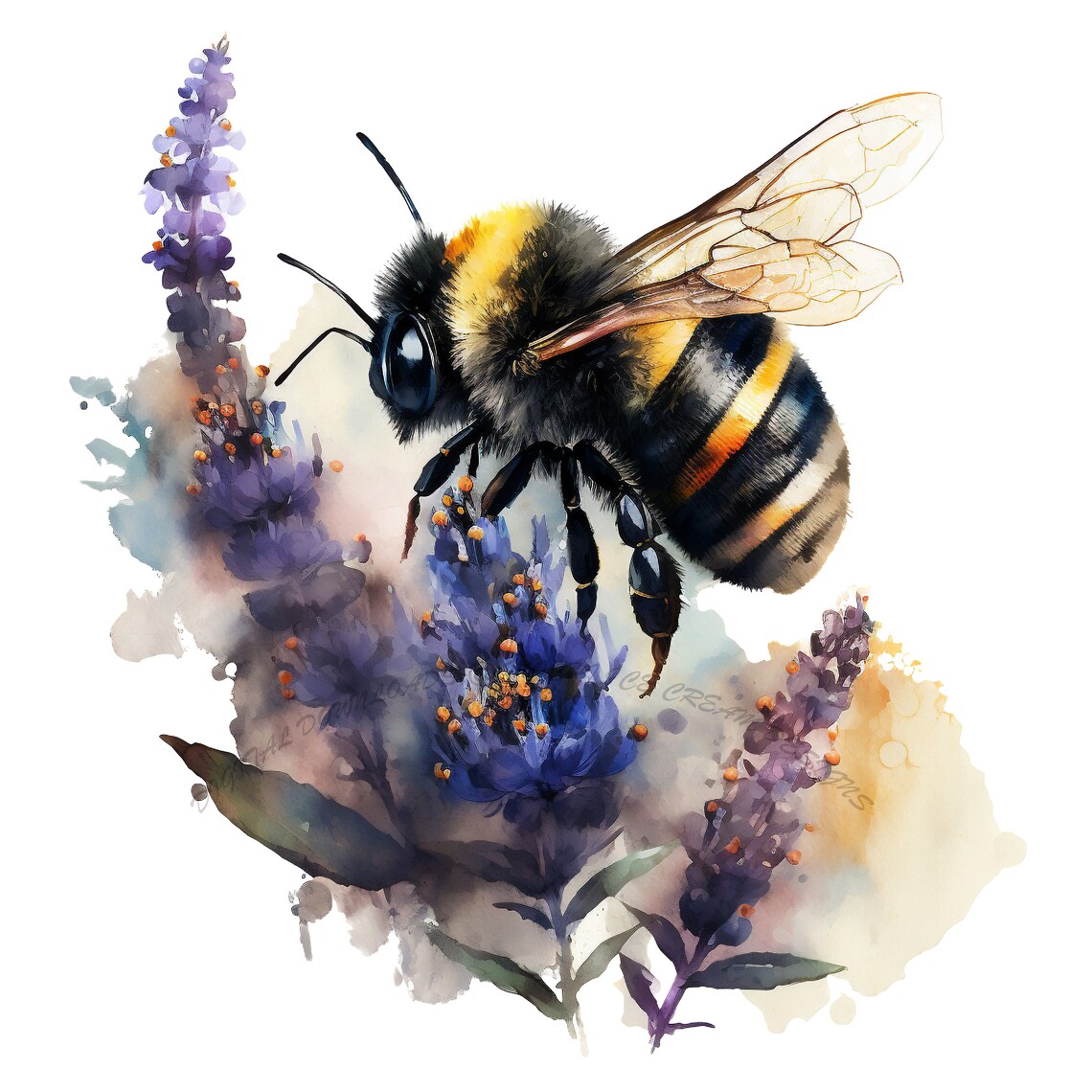 Watercolor Bumble Bee Clipart Spring Garden Bee Clip Art PNG - Etsy