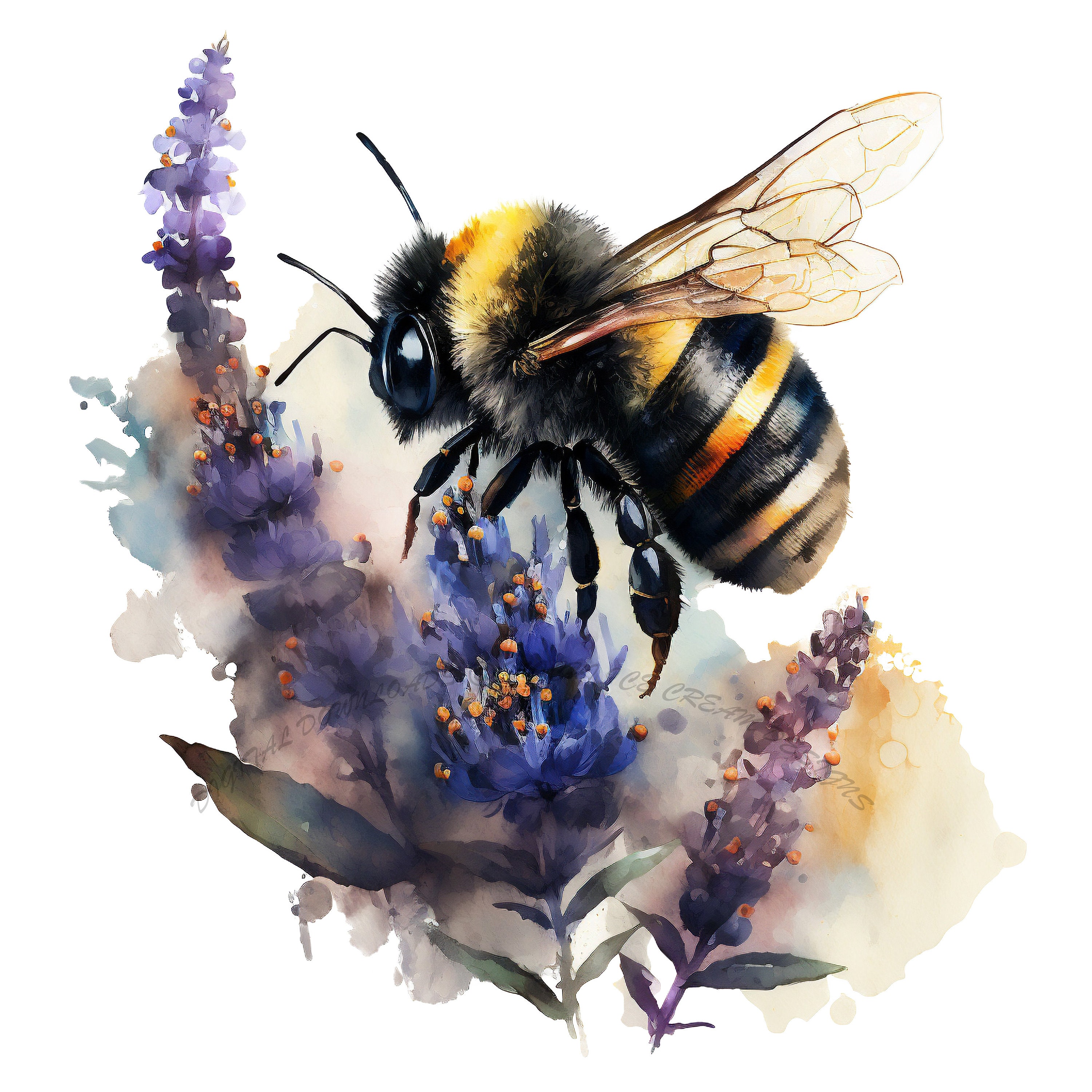 Watercolor Bumble Bee Clipart Spring Garden Bee Clip Art PNG - Etsy