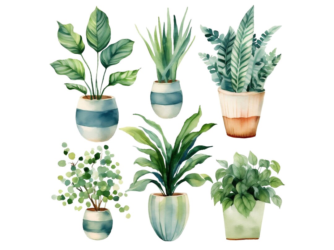 Watercolor House Plants Clipart - Watercolor Gardening Download ...