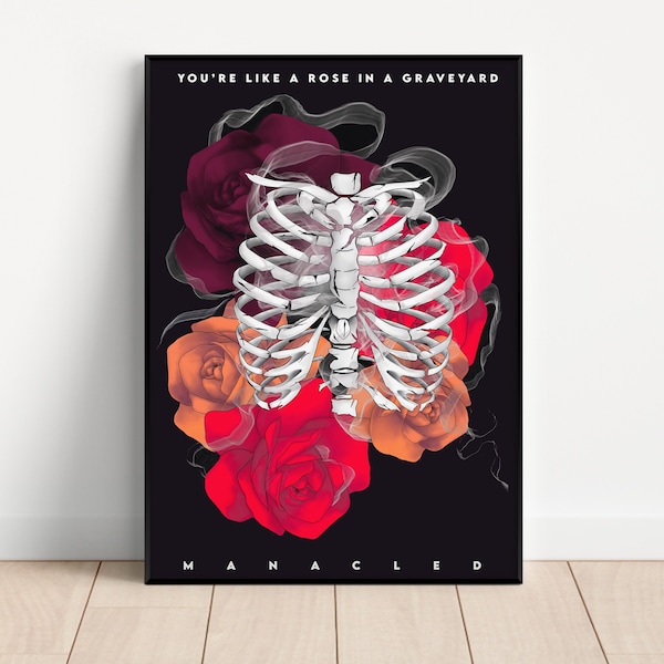 Dramione Book Manacled - Etsy