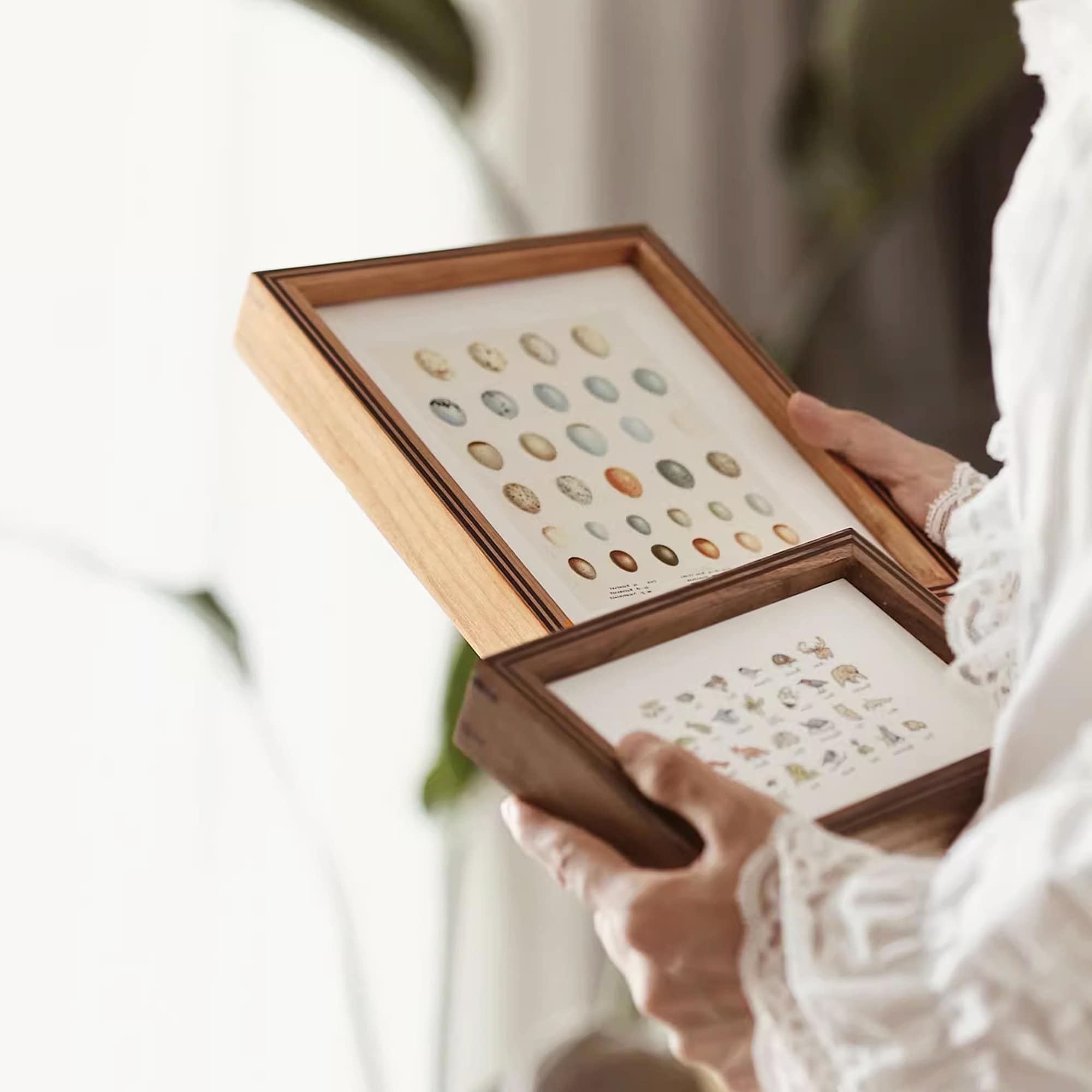 Solid Wood Right Angle Color Bar Display 678 Inch Frame - Etsy