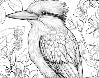Australian Animal Colouring Book - 40 Pages - Etsy
