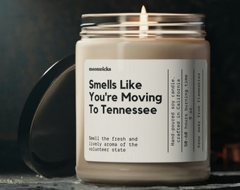 Smells Like You're Moving to Chicago Soy Wax Candle, Moving to Chicago ...