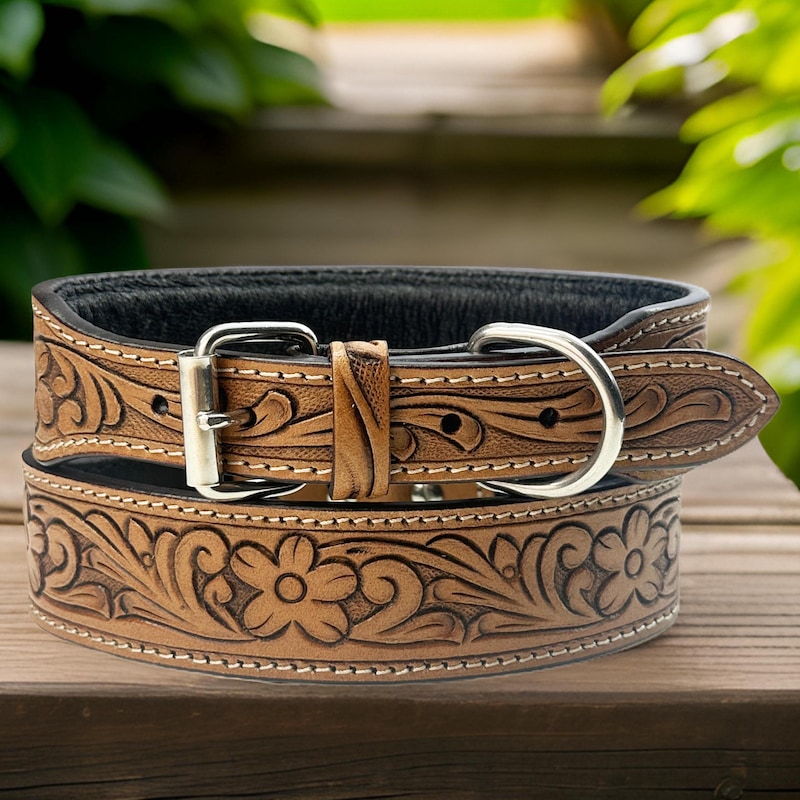 Leather Collar - Etsy