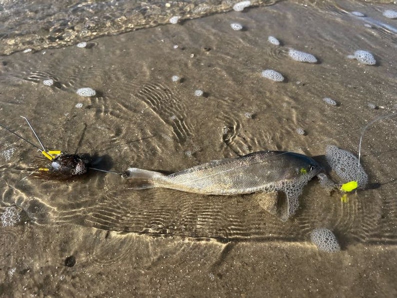 Sol's Whiting Fish (bait) Rigs - Etsy