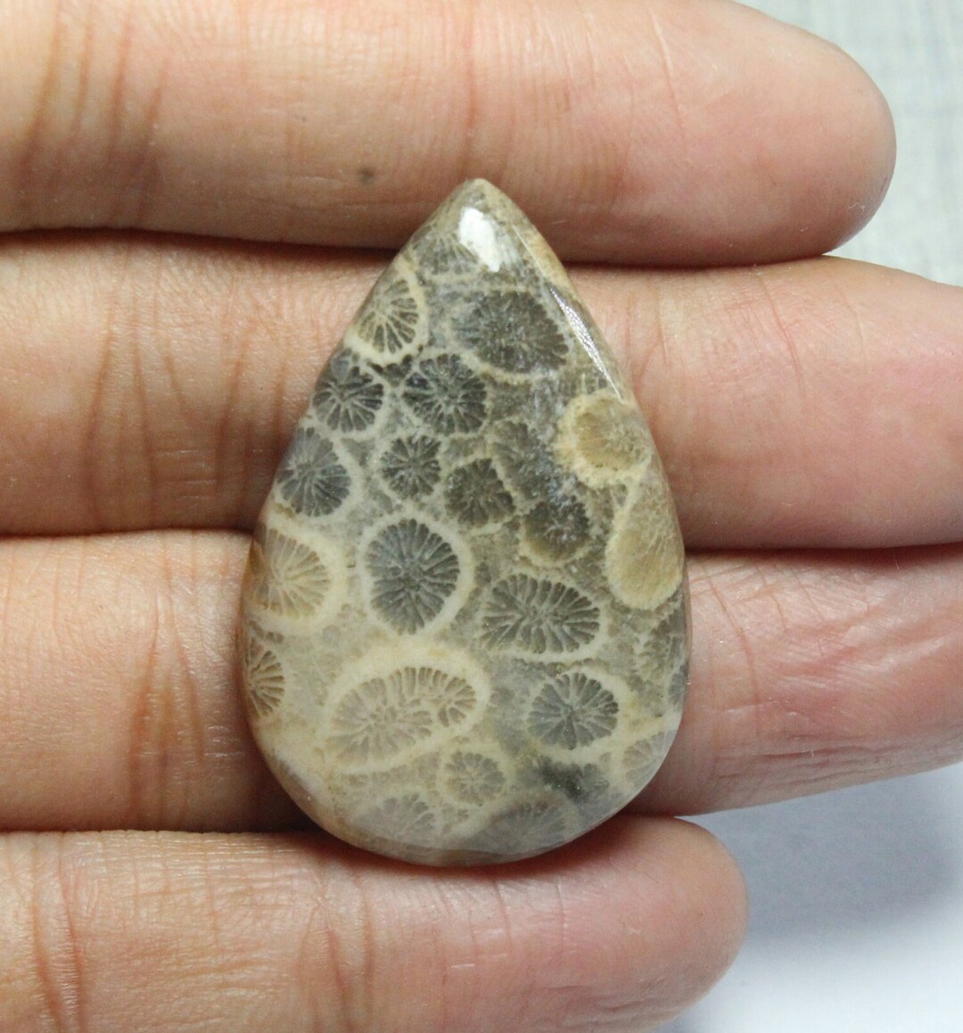 Top Quality Fossil Coral Stone Fossil Cabochonsnatural Fossil - Etsy