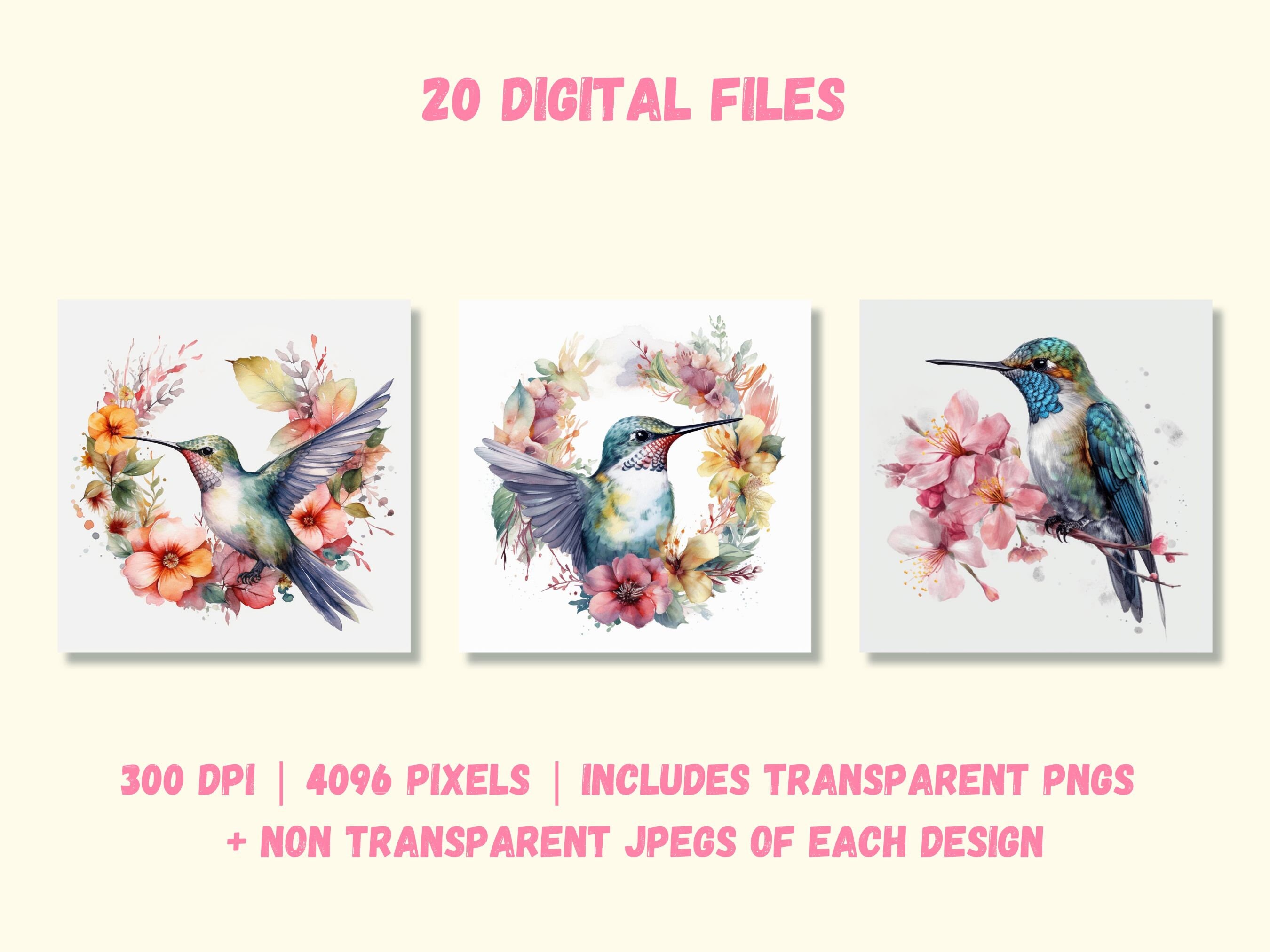 Watercolor Hummingbird Clipart Hummingbird PNG Clip Art Digital ...