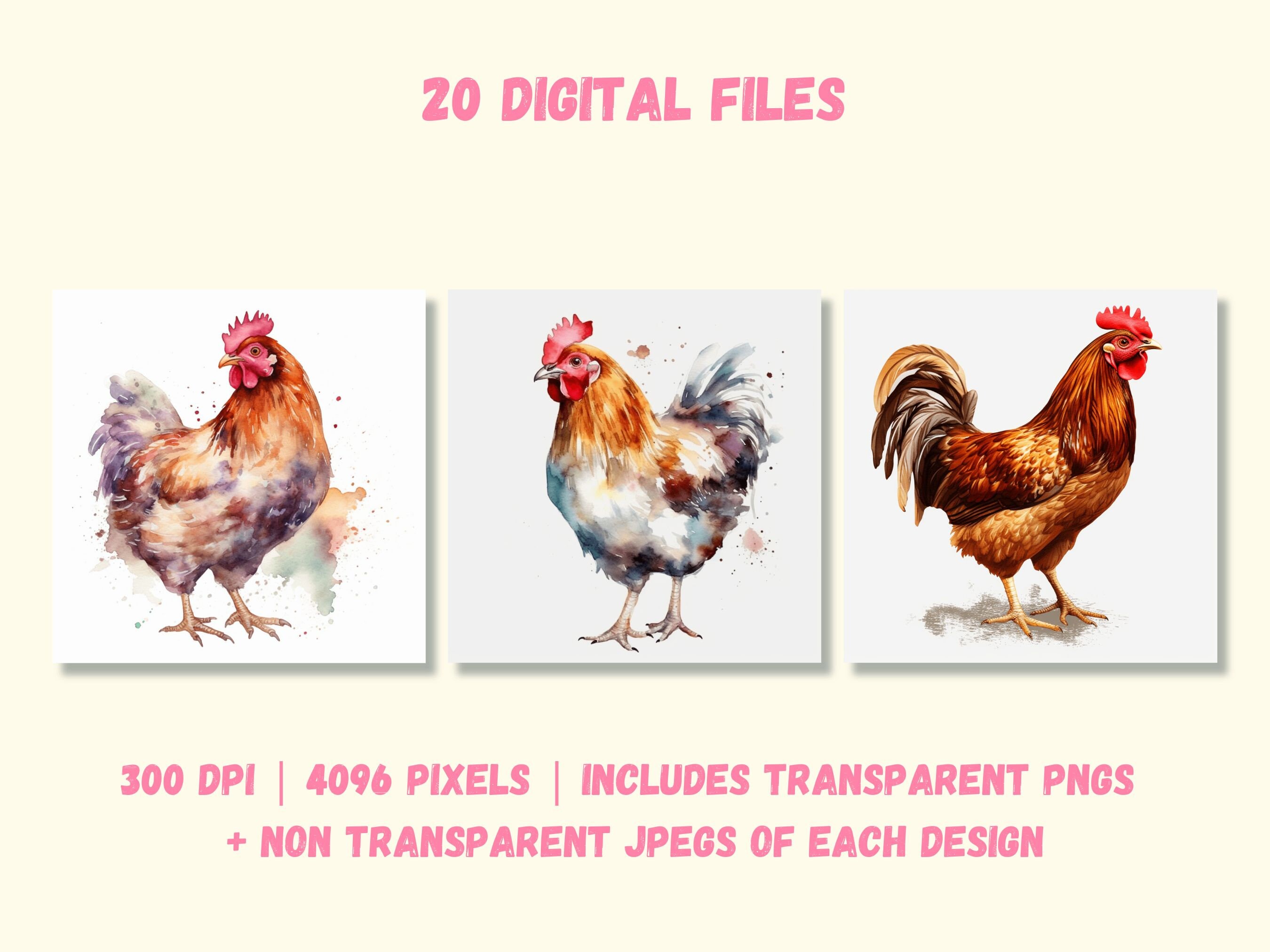 Watercolor Chicken Clipart Bundle of 20 Watercolor Chicken Clipart ...