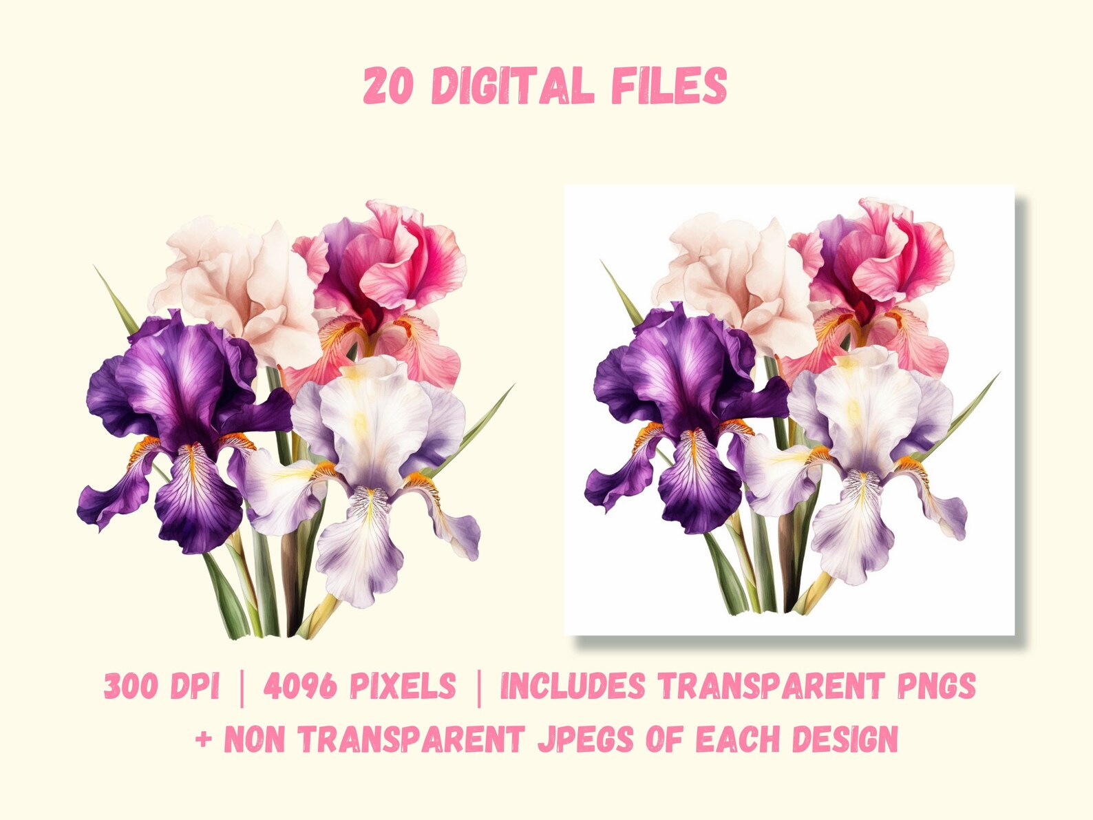 Wild Iris Clipart Bundle of 20 PNG Watercolor Wild Iris - Etsy