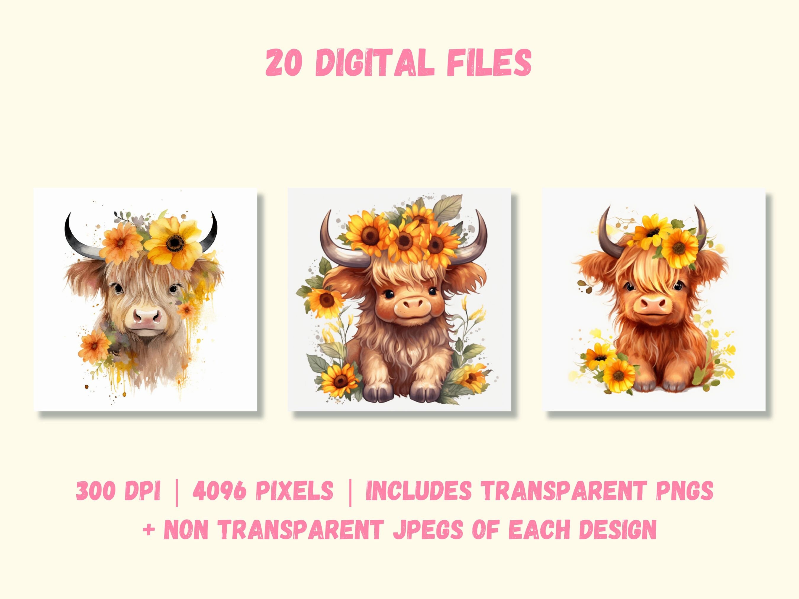 Highland Cow Sunflower Clipart Watercolor Highland Cow PNG - Etsy